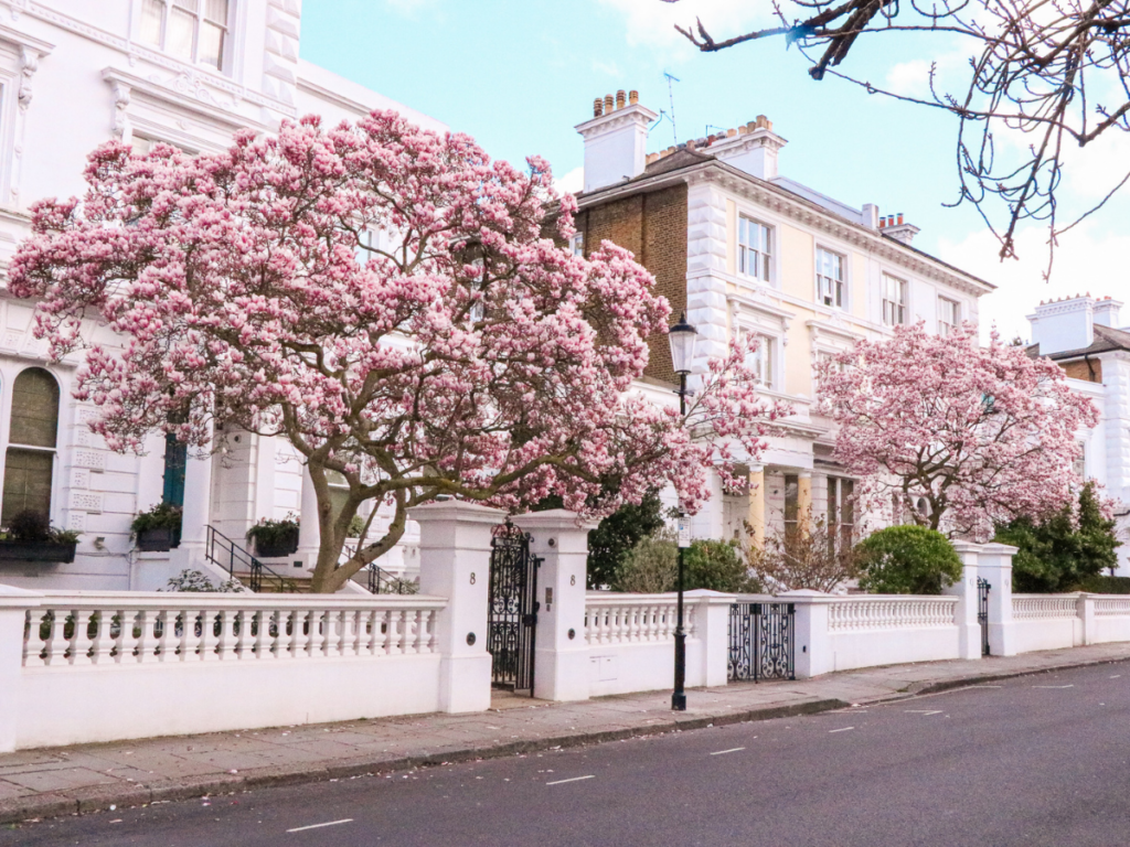 Floral London: A Guide to Seeing the City in Bloom - The London Eats List