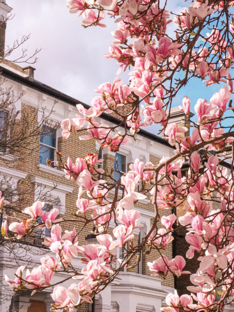 Floral London: A Guide to Seeing the City in Bloom - The London Eats List