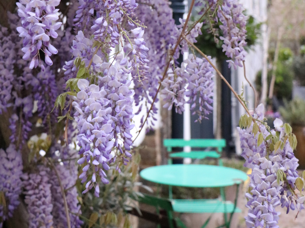 Spring in London: A Complete Guide - The London Eats List