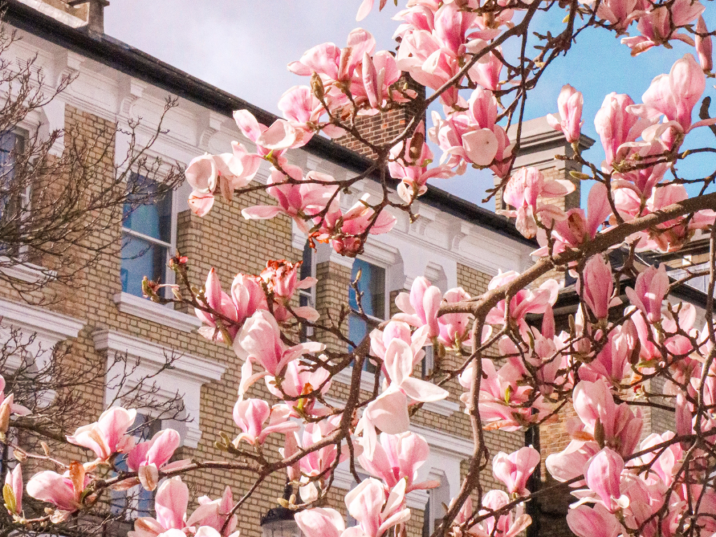 Spring in London: A Complete Guide - The London Eats List