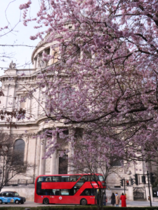 How to Use London Buses: Step by Step Guide